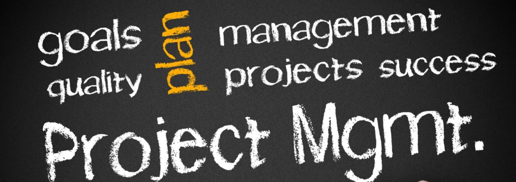 Project Controls - PTAG