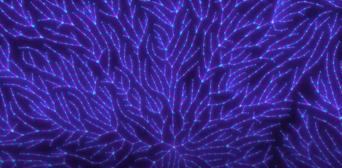 Project Management Information Systems (PMIS) - PTAG